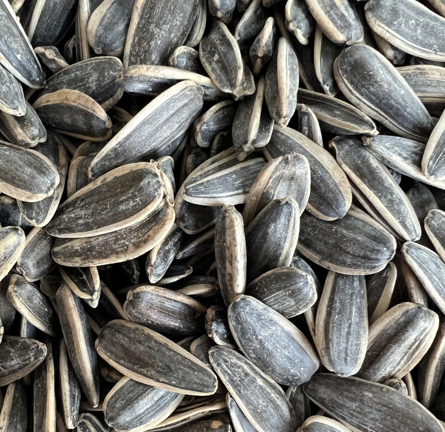 Skin Benefits of Sunflower Seeds – MUDMASKY